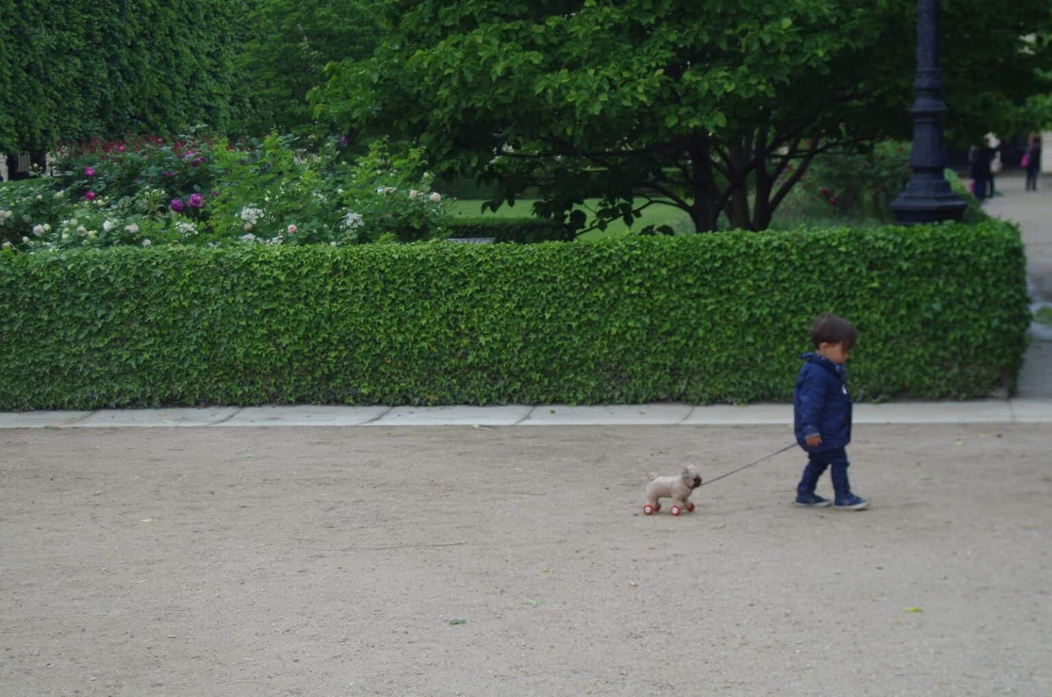 Dog-Friendly Paris: Do's and Don'ts of Having Dogs in Paris - HiP Paris ...