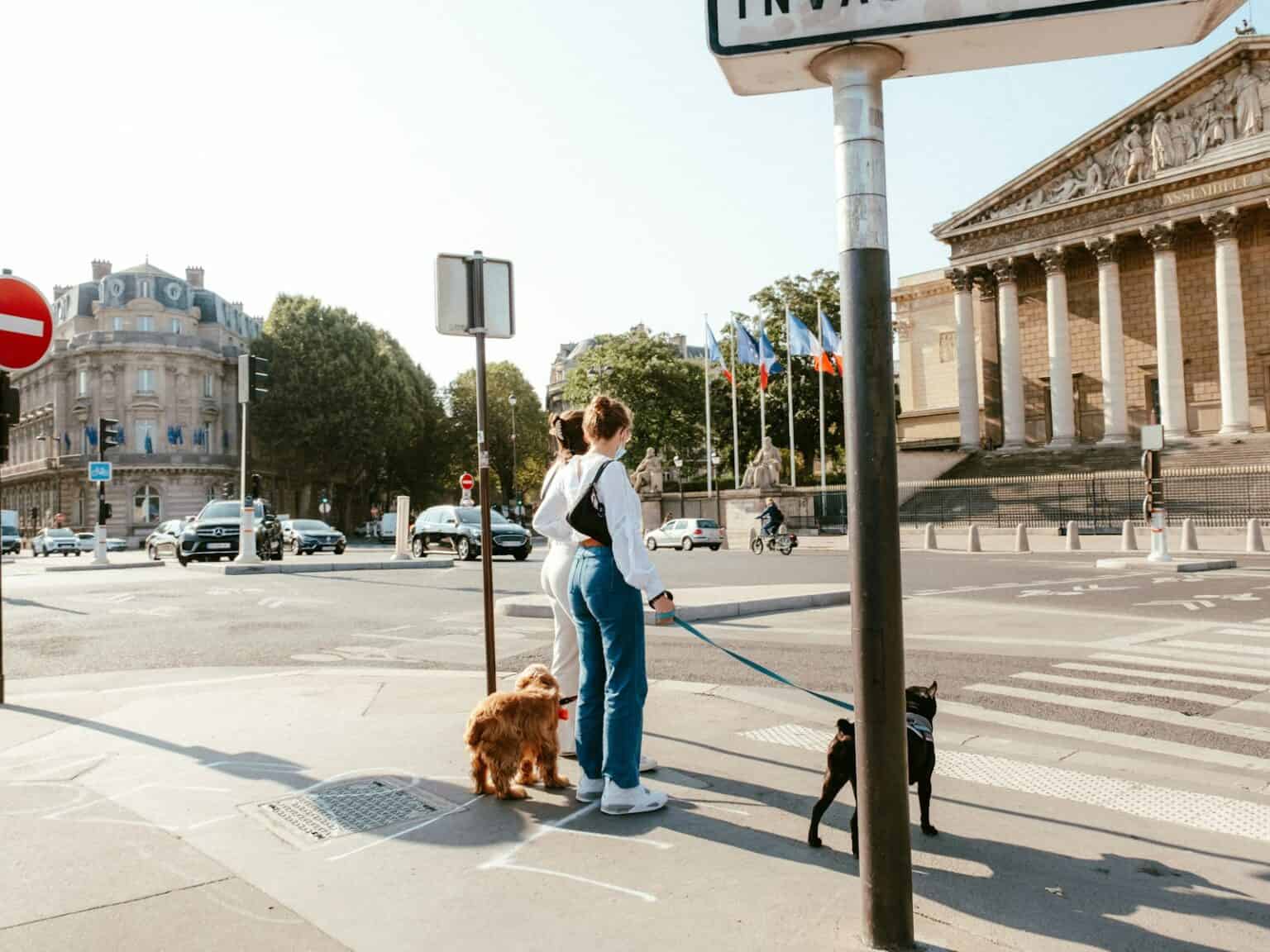 Dog-Friendly Paris: Do's and Don'ts of Having Dogs in Paris - HiP Paris ...