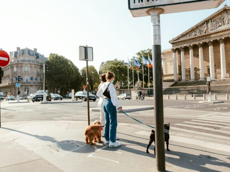 Dog-Friendly Paris: Do's and Don'ts of Having Dogs in Paris - HiP Paris ...