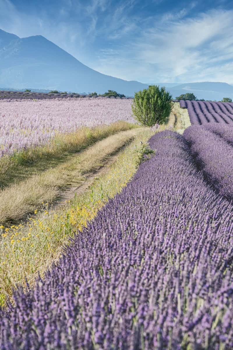 Where to Stay in Provence: The Best Hotels for Respite and Relaxation ...