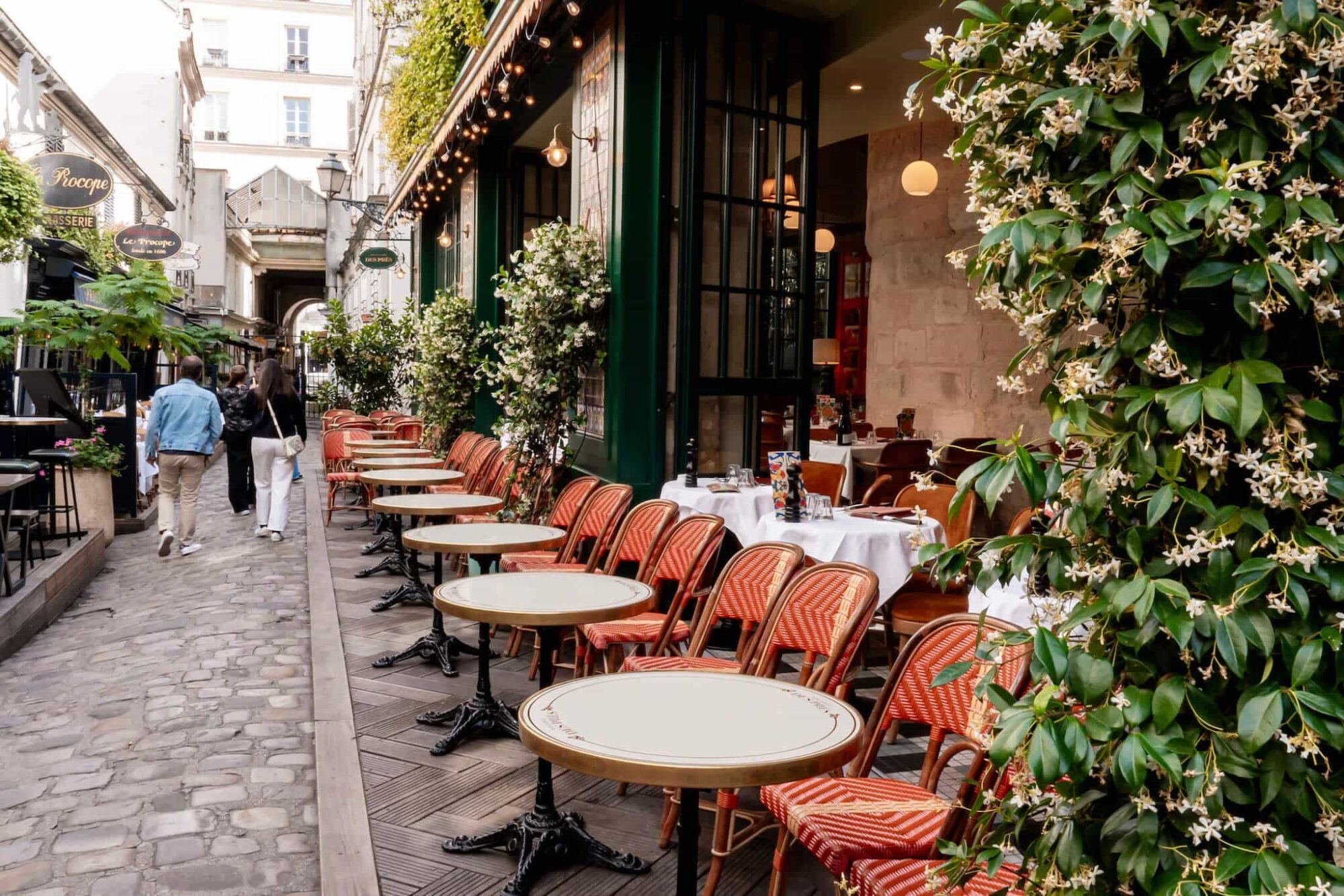 6 Must-Read Contemporary French Female Writers - HiP Paris Blog